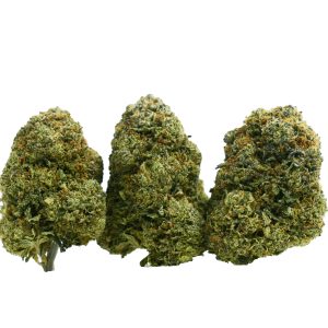 Purple Runtz- AAA- ($3.57/ gram) – Herb Castle