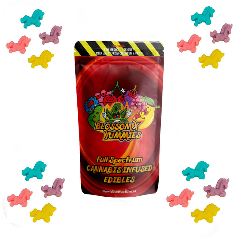 BlossomX – Fruit Splash Gummy Candy – 300mg THC (10 x 30mg) – Herb Castle